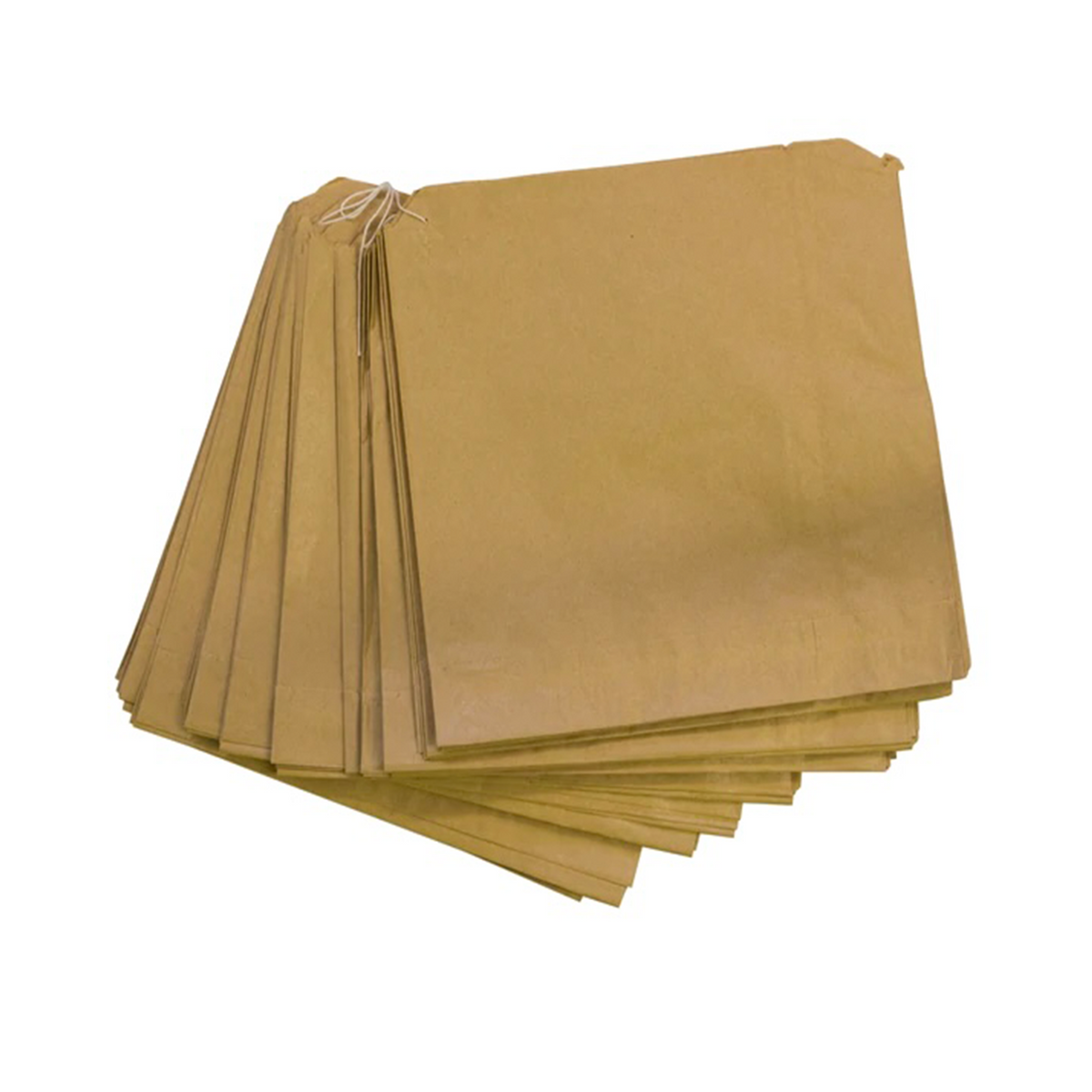 12" Kraft Paper Bag - 500pk — Eco Supplies