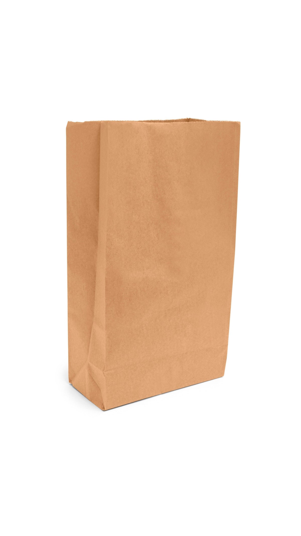 Medium 10lb Kraft Paper Grab Bags - 125pk — Eco Supplies